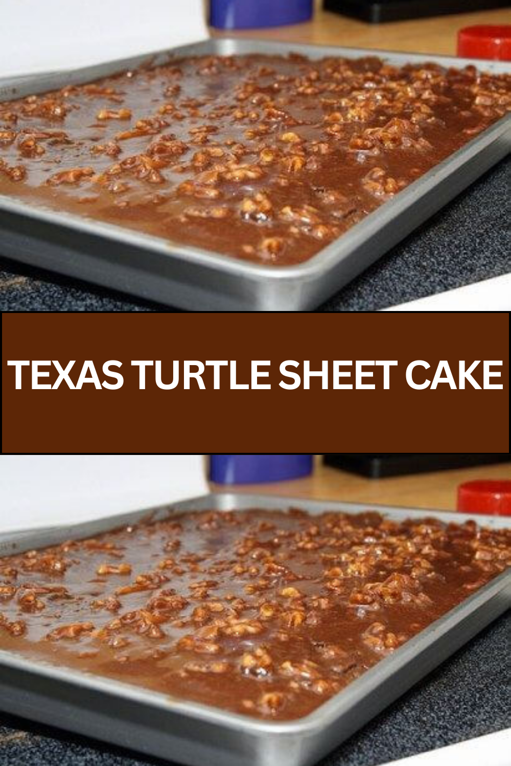 TEXAS TURTLE SHEET CAKE - Family Dinner Recipes