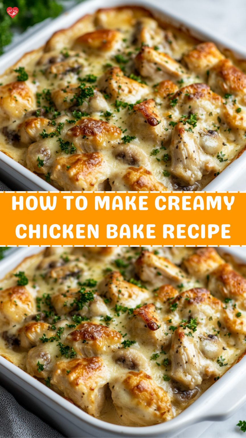 HOW TO MAKE CREAMY CHICKEN BAKE RECIPE - Family Dinner Recipes